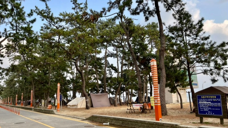 전남 보성 차박 노지 무료 캠핑장 율포솔밭해수욕장 네이버 블로그