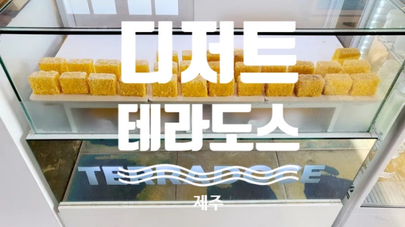 제주 테라도스 네이버 블로그