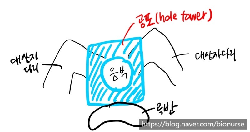 핵심 술기 유치도뇨 술기대사 네이버 블로그