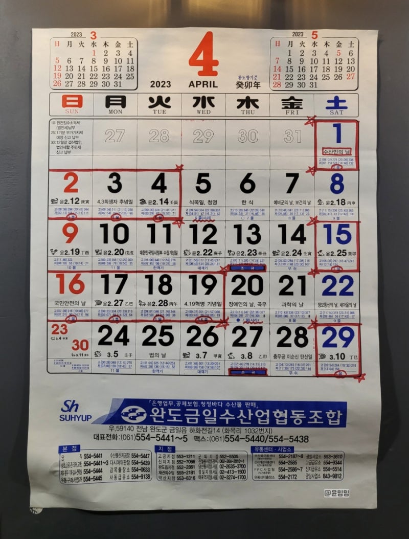 광주 서구 금호동 자연산 횟집 예송 싱싱한 해산물 맛집 네이버 블로그