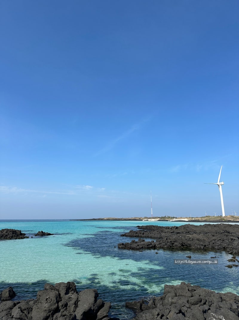 제주도 예쁜 바다 월정리 투명카약 내돈 내산 후기 김녕해수욕장 근처 사람 없는 곳 여유로운 바다구경 네이버 블로그