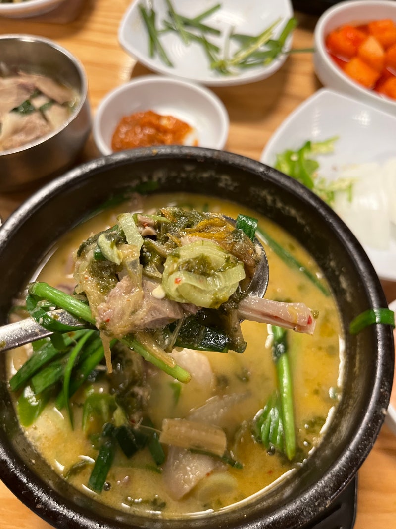 고속터미널 센트럴시티 맛집 시래기순대국 Ft 국밥마니아의 점심 번개 네이버 블로그