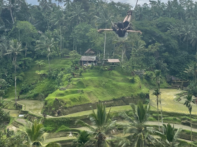 🇮🇩 발리 Day3b - 발리 스윙과 뜨갈라랑 계단식 논 Abian Desa Rice Terrace(4박 6일) : 네이버 블로그