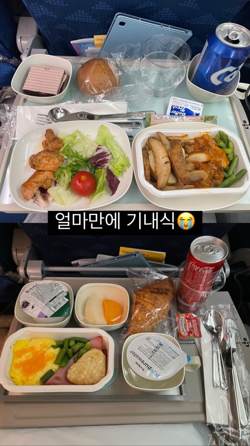 신혼여행 하와이8박10일 1일차 대한항공 트럼프 인터내셔널 호텔 와이키키 울프강스테이크하우스 네이버 블로그