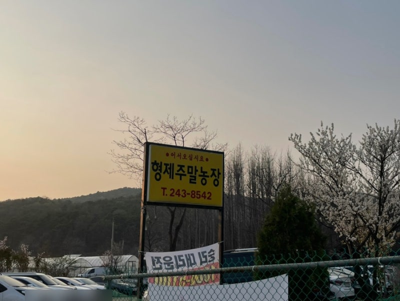 수원 광교저수지맛집 광교산 애견동반가능한 보리밥 바베큐맛집 형제농원 내돈내산 네이버 블로그