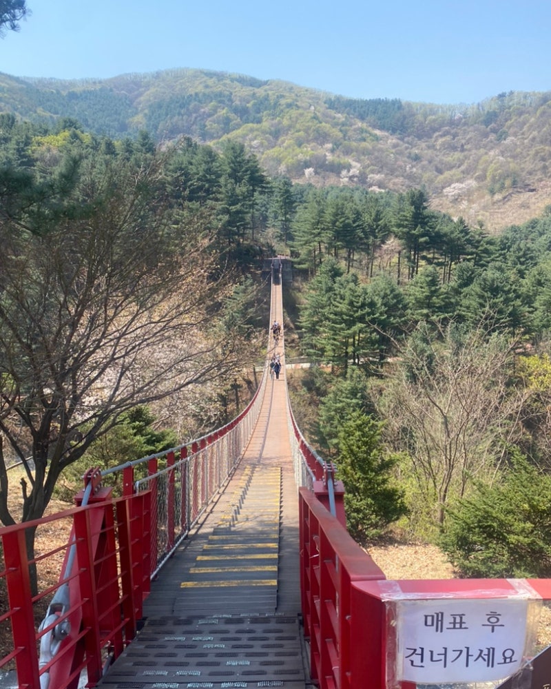 경기 포천 아이와 서울근교 가볼만한 곳 포천어메이징파크 네이버 블로그