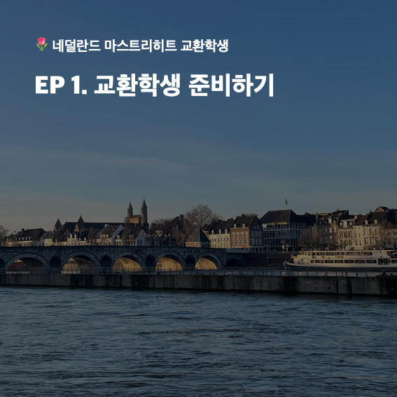 네덜란드 마스트리흐트 교환학생 네덜란드 마스트리흐트 교환학생 준비 Ucm 서류 준비 네덜란드 교환학생 거주 허가증