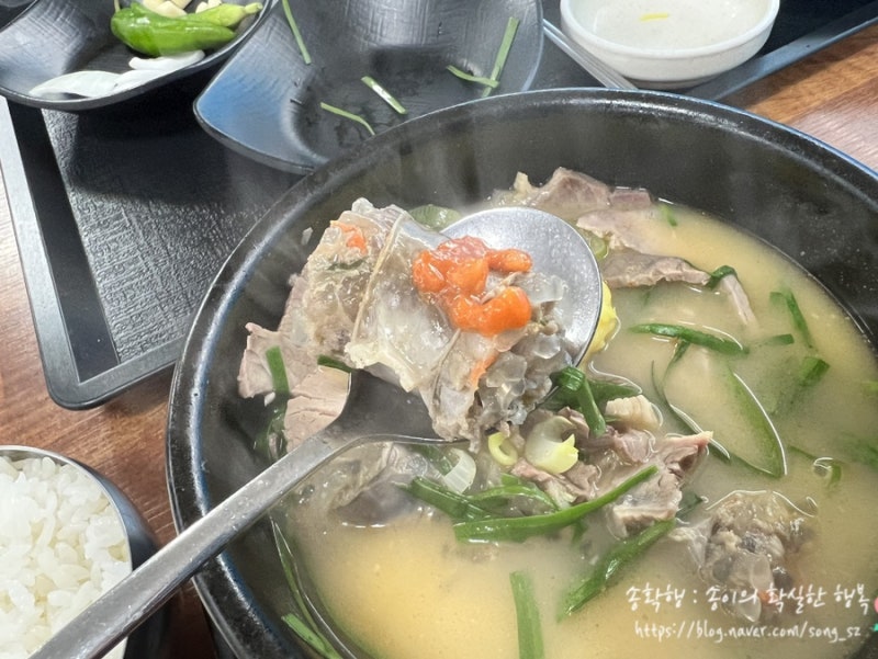 영진돼지국밥 장유 국밥 맛집 한그릇 뚝딱 네이버 블로그