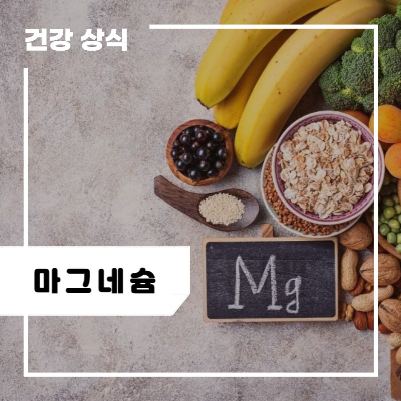 마그네슘 효능 및 효과 부작용 하루 권장량 최적의 복용법과 복용시간먹는시간 고르는법 네이버 블로그