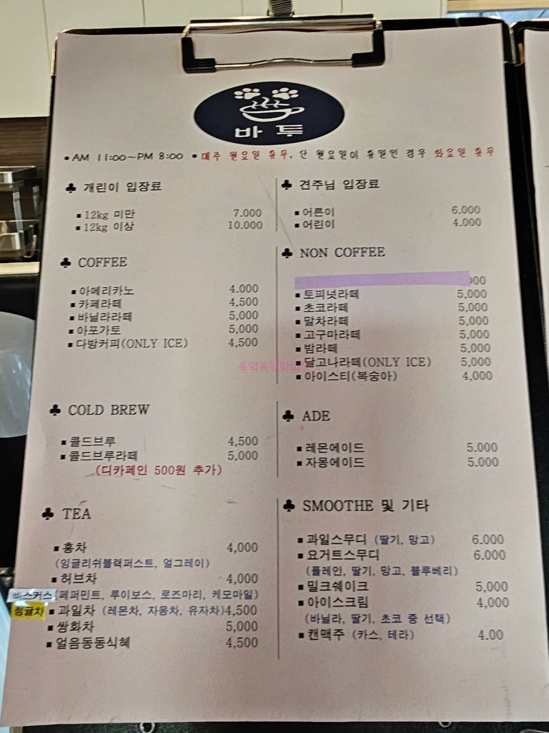세종 애견동반카페 바투 울애기들 뛰뛰하기 좋아요 네이버 블로그