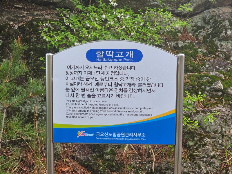 구미 금오산 등산 최단 코스금오산 제1주차장~금오산성~대혜폭포~할딱고개~현월봉~약사암~원점회귀 네이버 블로그