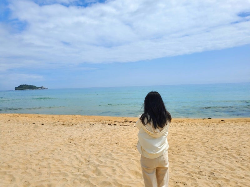 강원도 고성 가볼만한곳 7 핫플 볼거리 가득 여행 코스 네이버 블로그