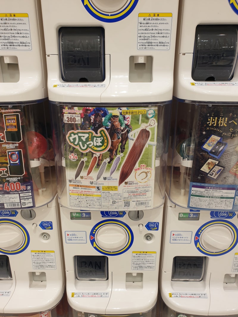 [일본 도쿄] 가챠가챠 노모리 (Gachagacha no mori) 빅카메라 신주쿠 히가시구치점 / 신주쿠 가챠샵 추천 ...
