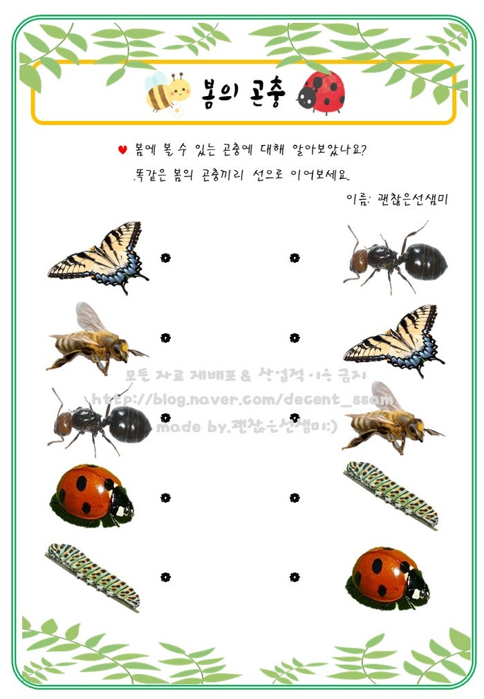 봄곤충개미프로젝트무당벌레프로젝트 봄곤충합성도안 네이버 블로그