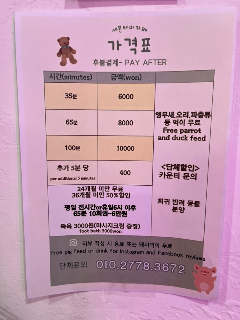 광안리 세븐테마카페 이색체험 데이트공간,아이들과 함께가기 너무 좋은곳!돼지도 만나고 뱀도 만져보고~ : 네이버 블로그