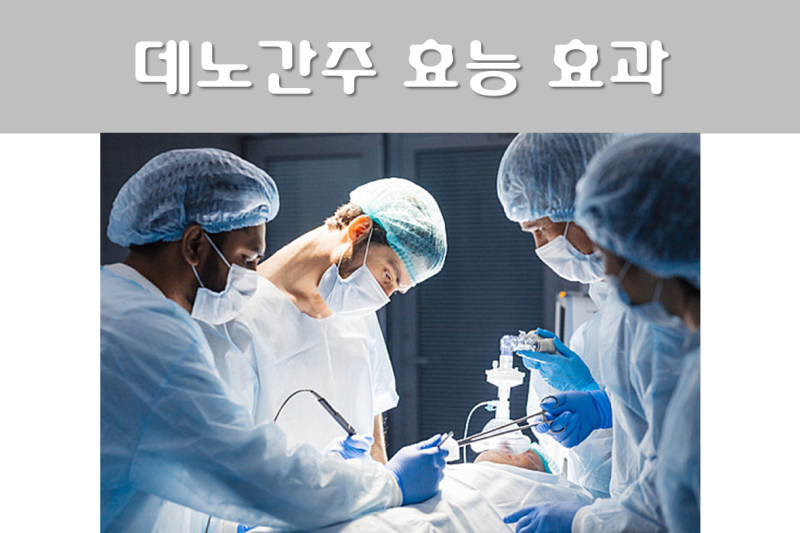 데노간주 통증 해열 염증 효능 성분 용법 부작용 주의사항 가격 : 네이버 블로그