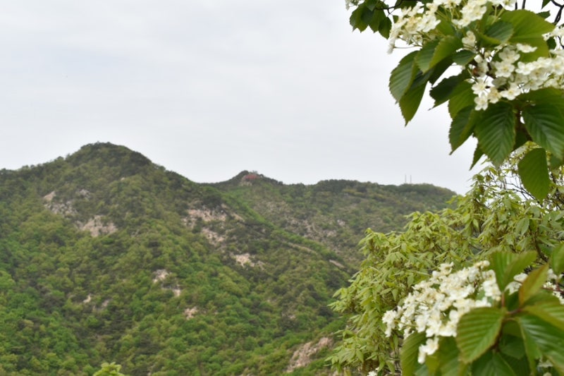 천안아산 가볼만한 산 영인산 4개봉 종주 산행영인산주차장~휴양림숲길~영인산수목원~상투봉~닫자봉~신선봉~깃대봉~연화봉~휴양림