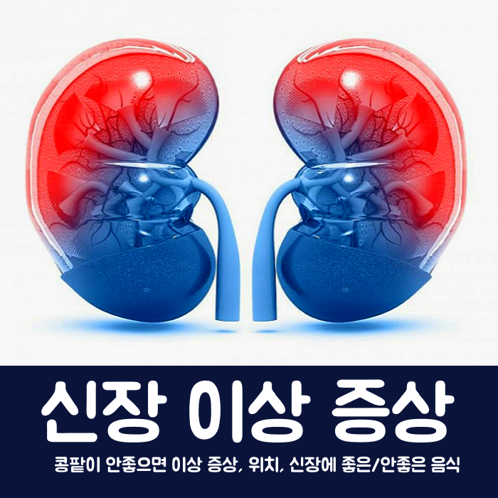 콩팥이 안좋으면 신장 이상 증상 신장에 좋은안좋은 음식위치 네이버 블로그