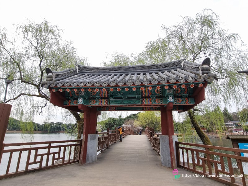 제천 가볼만한곳 의림지 And 용추폭포 의림지주차장 네이버 블로그