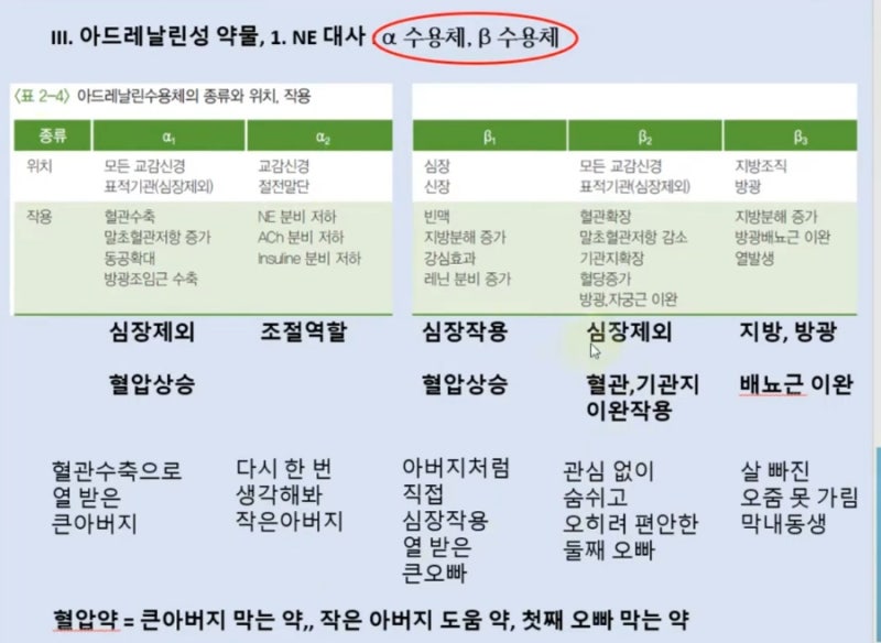 약리학 중간고사 대비 기전과 약물 정리 하루 전 벼락치기 실화니 네이버 블로그