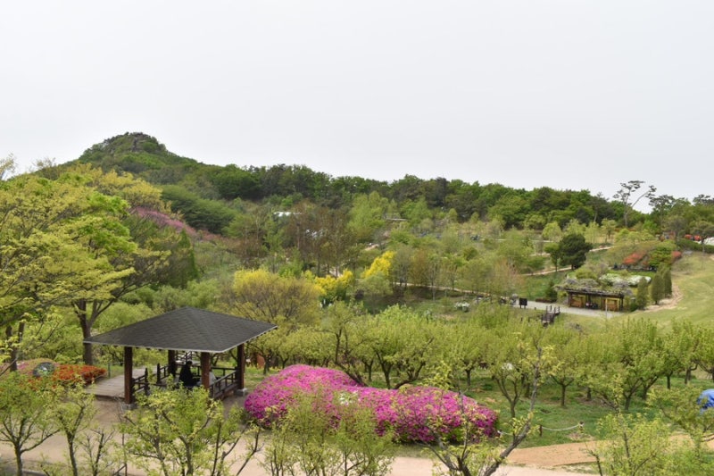 천안아산 가볼만한 산 영인산 4개봉 종주 산행영인산주차장~휴양림숲길~영인산수목원~상투봉~닫자봉~신선봉~깃대봉~연화봉~휴양림