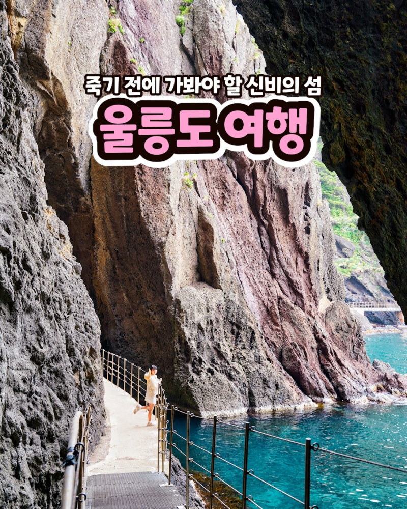 울릉도 2박 3일 자유 여행 코스 가볼만한곳 울릉도 여행경비 네이버 블로그