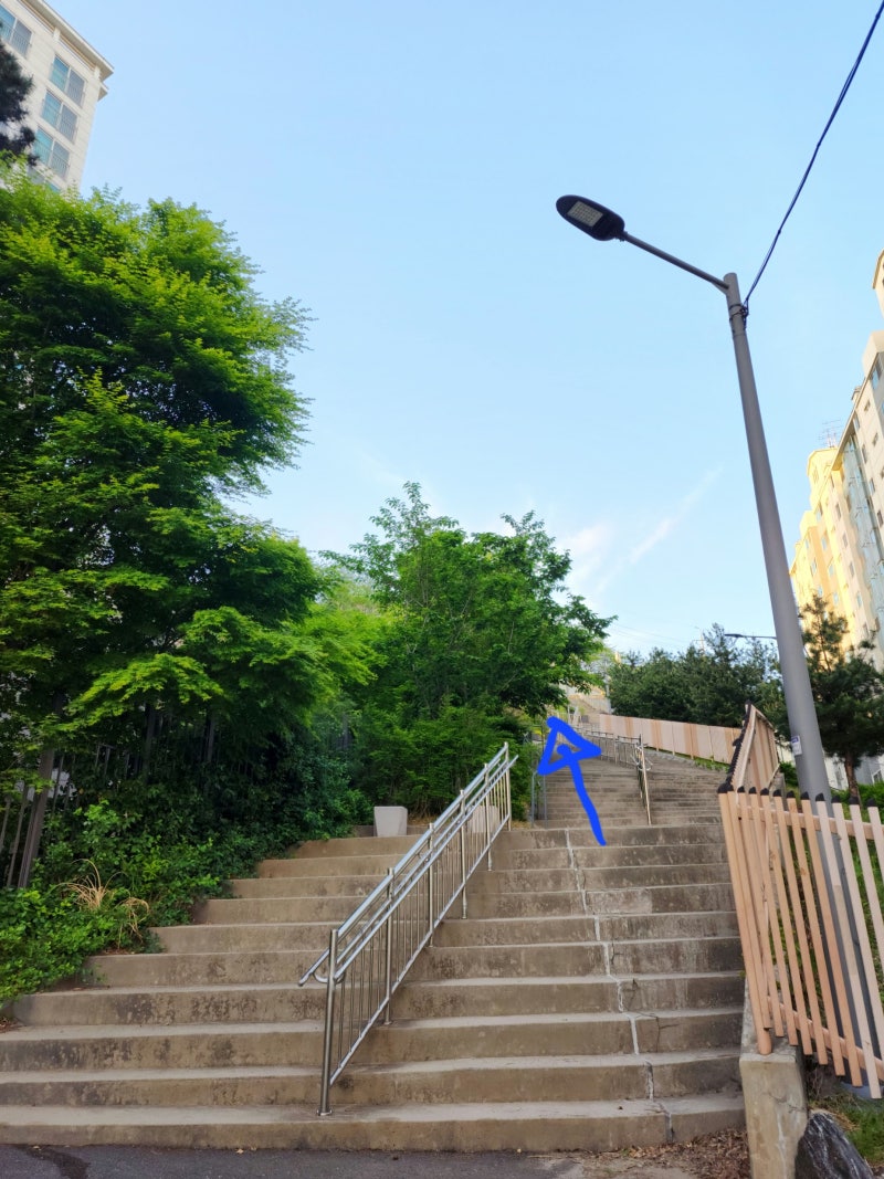 인왕산 야간산행 서울 최고의 야경명소독립문역 코스 네이버 블로그