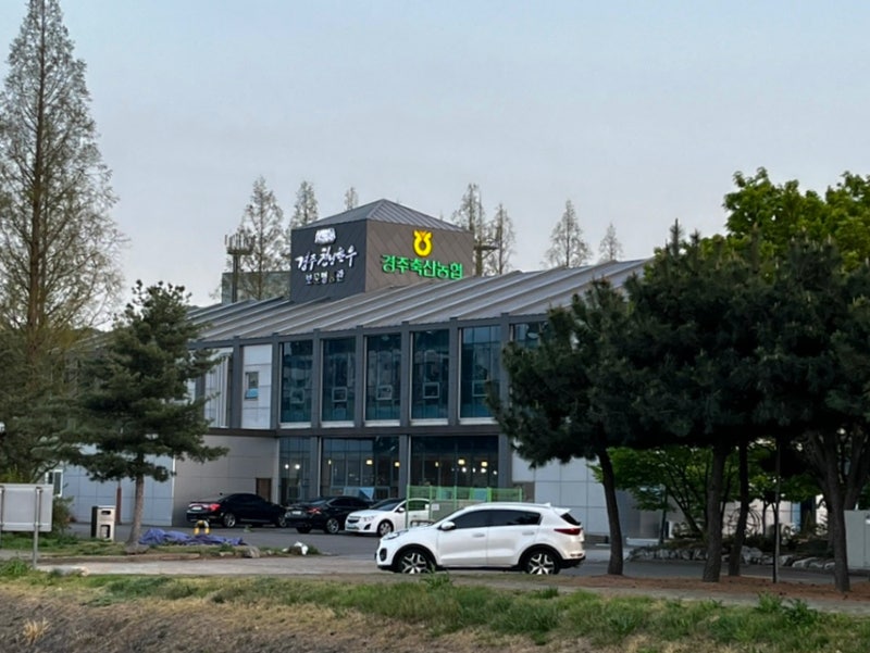 경주여행 만족스러웠던 한우맛집 경주천년한우 보문점 네이버 블로그