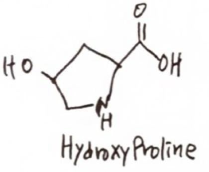 Hydrophobic amino acid -4. Proline : 네이버 블로그