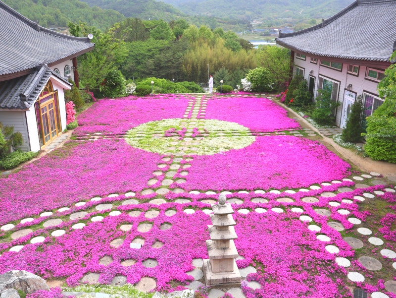 경남 여행 산청 사찰 꽃잔디 명소 대명사 네이버 블로그