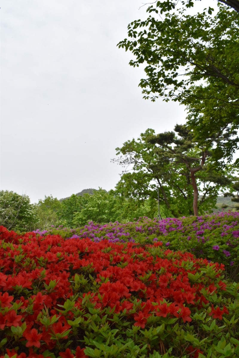 천안아산 가볼만한 산 영인산 4개봉 종주 산행영인산주차장~휴양림숲길~영인산수목원~상투봉~닫자봉~신선봉~깃대봉~연화봉~휴양림