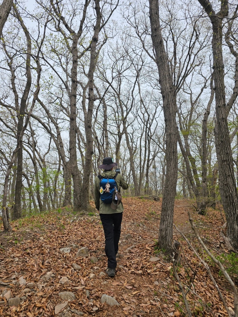 무주 적상산 등산코스 향로봉 정상과 안렴대 안국사 최단코스 산행 이야기 네이버 블로그