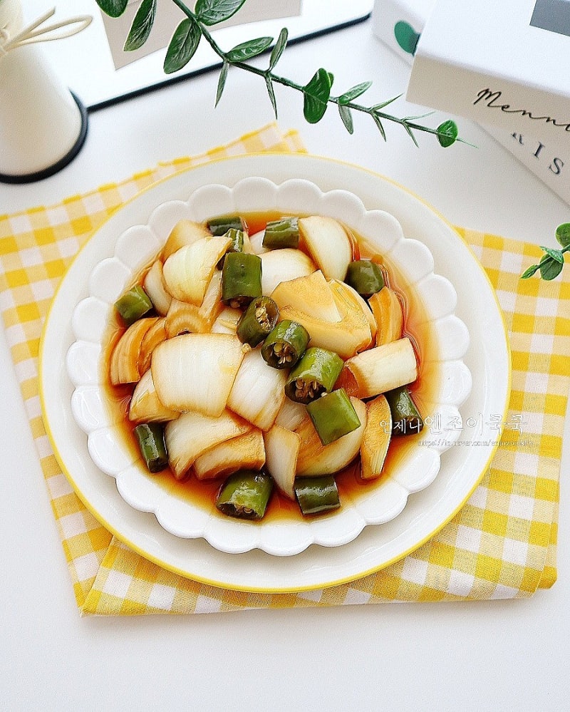 햇양파장아찌 만들기 백종원 양파짱아찌 비율 만능 양파장아찌 간장 양파고추장아찌담그는법 양파절임f양파장아찌 효능양파 칼로리