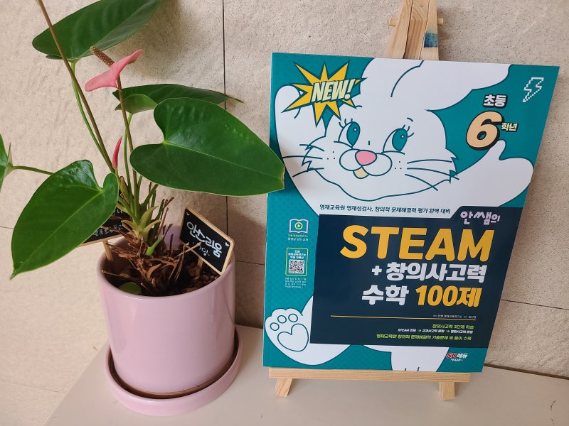 안쌤의 STEAM+ 창의사고력 수학 100제 초등 6학년 재미있는 수학이 가능해요 : 네이버 블로그