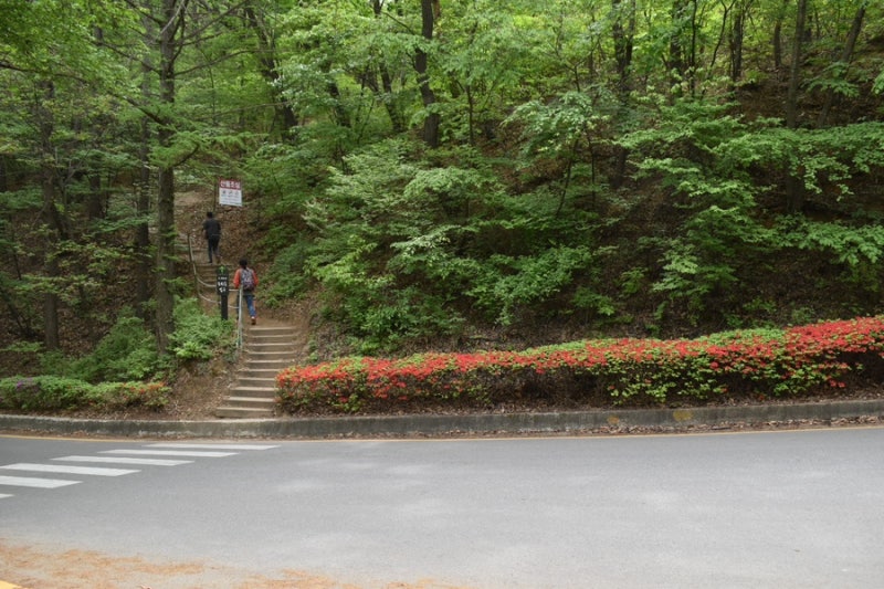 천안아산 가볼만한 산 영인산 4개봉 종주 산행영인산주차장~휴양림숲길~영인산수목원~상투봉~닫자봉~신선봉~깃대봉~연화봉~휴양림