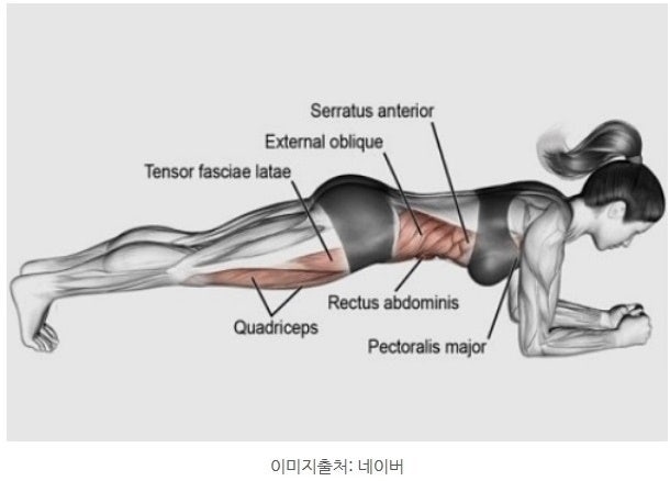 홈트레이닝 허리 코어운동 플랭크 자세 꿀팁 30일 챌린지 네이버 블로그