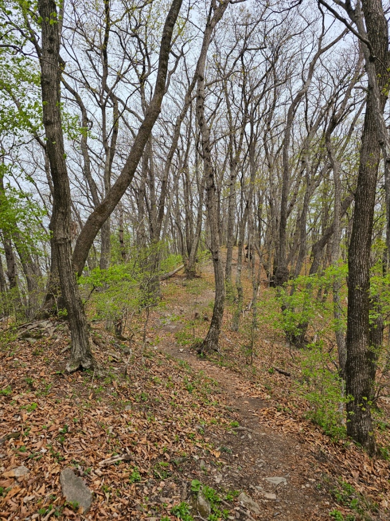 무주 적상산 등산코스 향로봉 정상과 안렴대 안국사 최단코스 산행 이야기 네이버 블로그