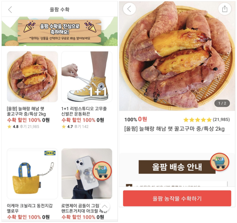 올웨이즈 올팜 고구마 수확 성공농작물 재배 올웨이즈 맞팜 친구 만들기 초대링크 상호 공유가능 네이버 블로그