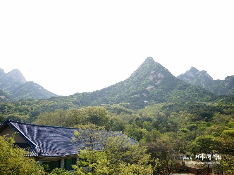 북한산 스타벅스 더북한산점 평일 루프탑 이용메뉴주차 네이버 블로그