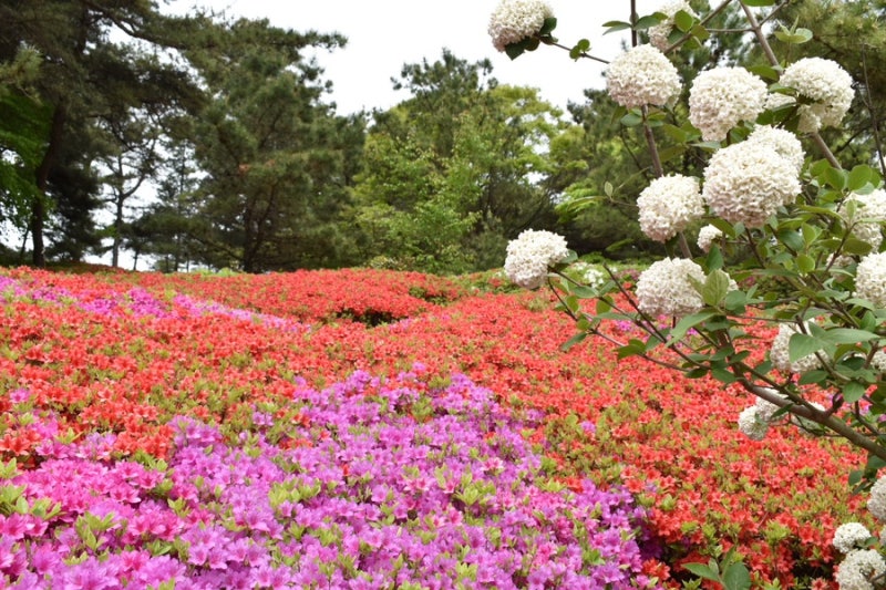 천안아산 가볼만한 산 영인산 4개봉 종주 산행영인산주차장~휴양림숲길~영인산수목원~상투봉~닫자봉~신선봉~깃대봉~연화봉~휴양림