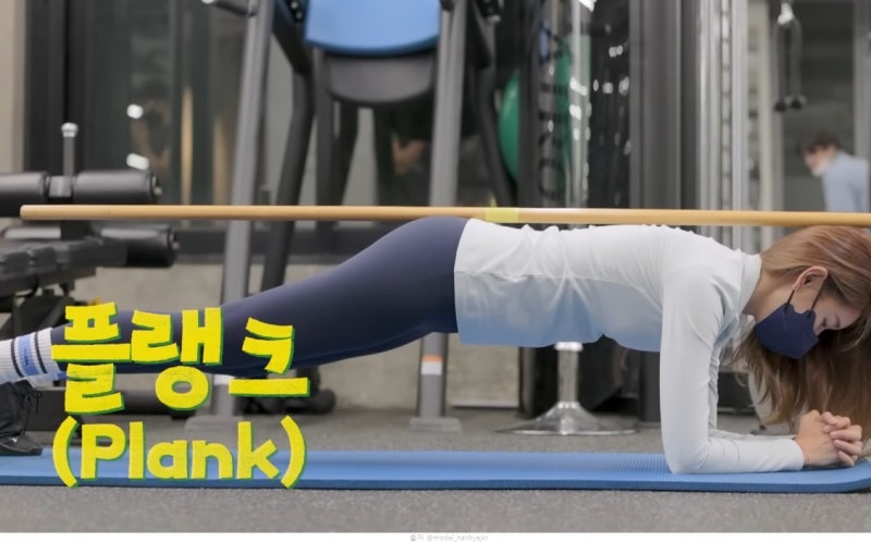 홈트레이닝 허리 코어운동 플랭크 자세 꿀팁 30일 챌린지 네이버 블로그