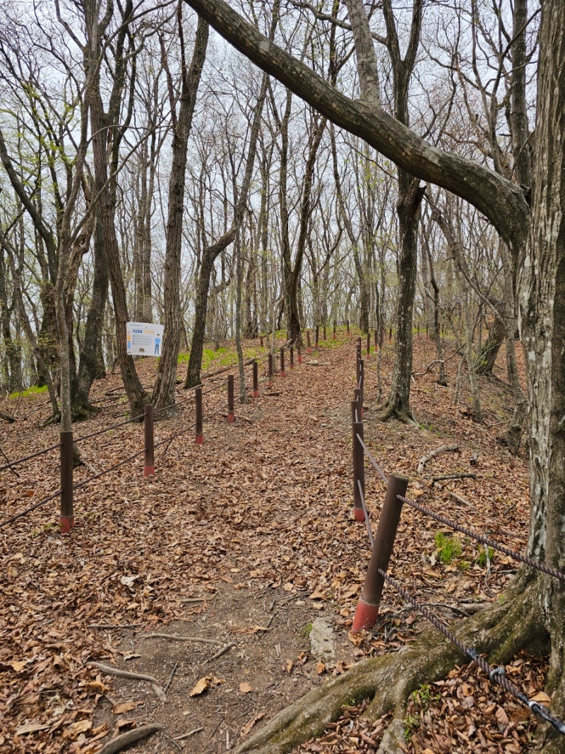무주 적상산 등산코스 향로봉 정상과 안렴대 안국사 최단코스 산행 이야기 네이버 블로그
