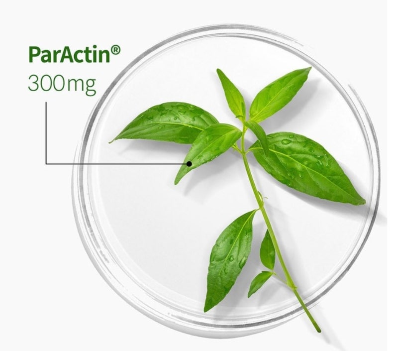 천심련 파랙틴 관절 염증에 효과 있나요? 관절엔 아나파랙틴 효능, 성분, 특징, 복용법, 가격, 후기 : 네이버 블로그