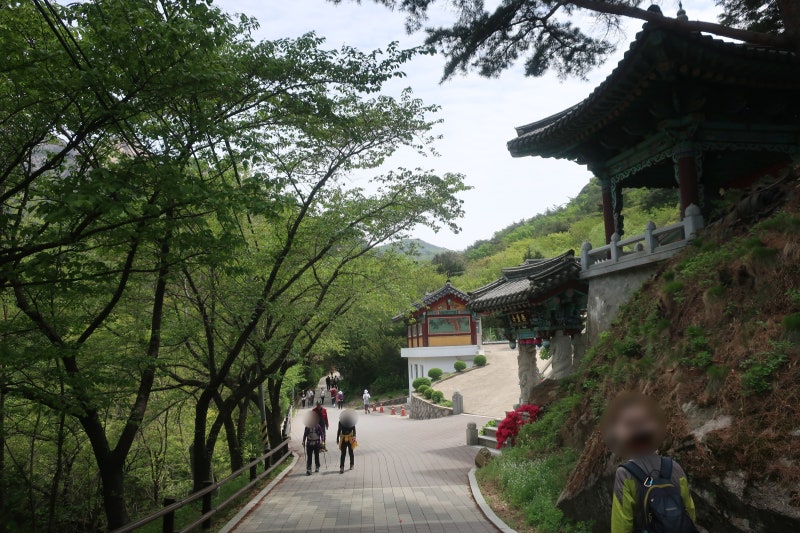 북한산 등산코스 신록의 계절로 들어서다 북한산성입구~백운대코스 네이버 블로그