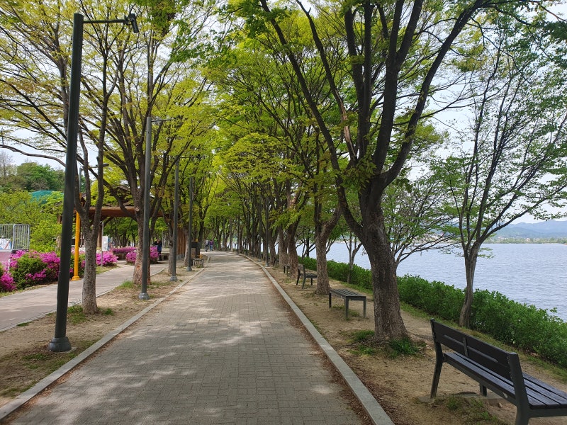 춘천 의암호 물레길 북한강소양강 수변데크 트래킹코스 50대60대가 산보산책하기 좋은 곳 네이버 블로그