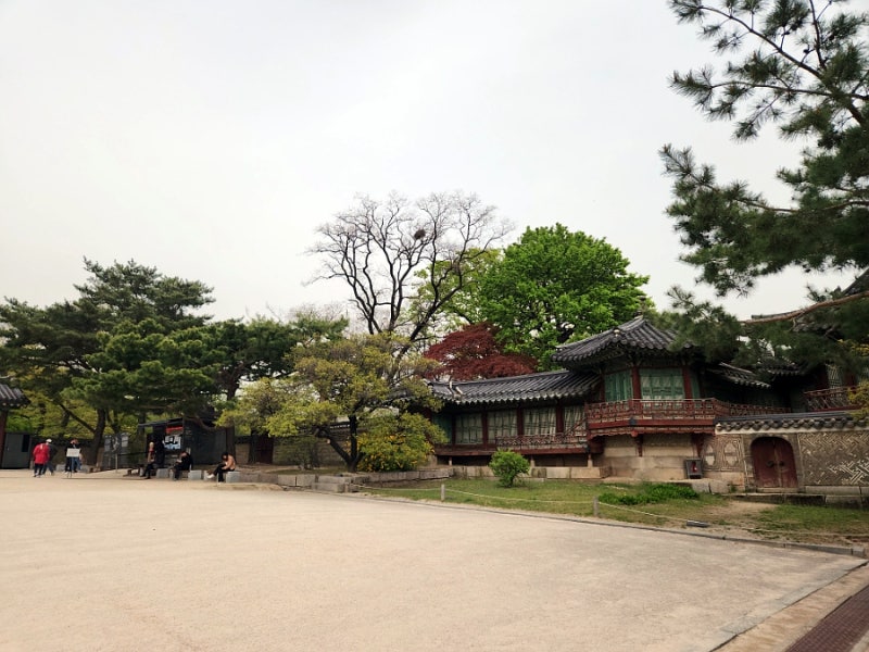 서울 창덕궁 야간개장 달빛기행 기본 정보 및 후원 예약 방법 Ft 꽃구경 네이버 블로그