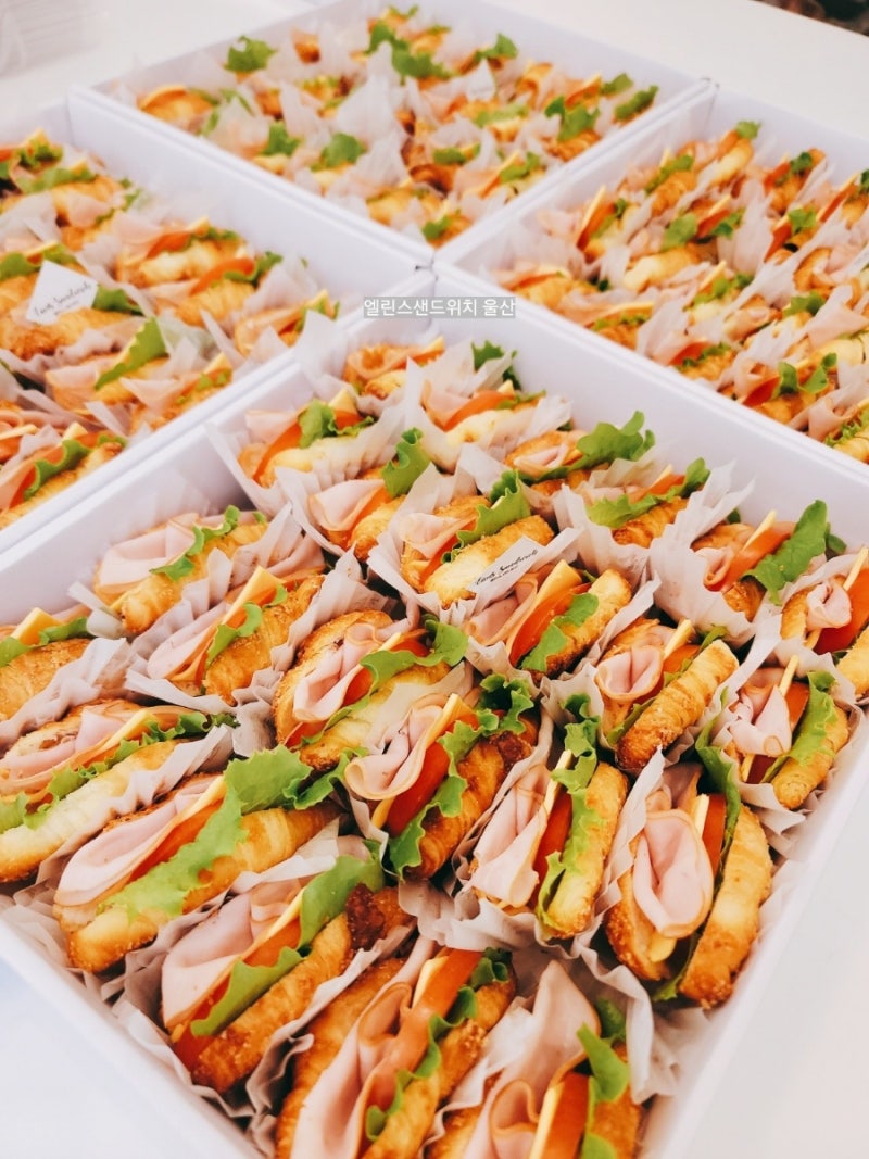 엘린스 샌드위치 울산울산 샌드위치 샌드위치박스크루아상 24p 네이버 블로그