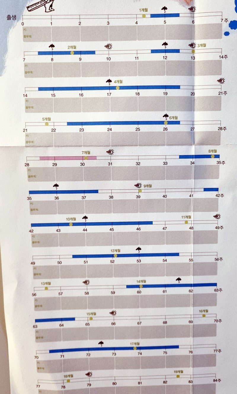 원더윅스 계산기 기간 증상 시기 대처방법 3가지 총정리 네이버 블로그