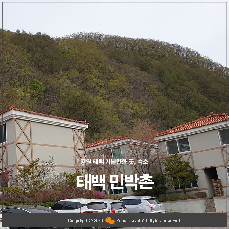 강원도 태백여행 숙소로 하룻밤 묵기 괜찮은 태백민박촌 재방문 이용후기 네이버 블로그