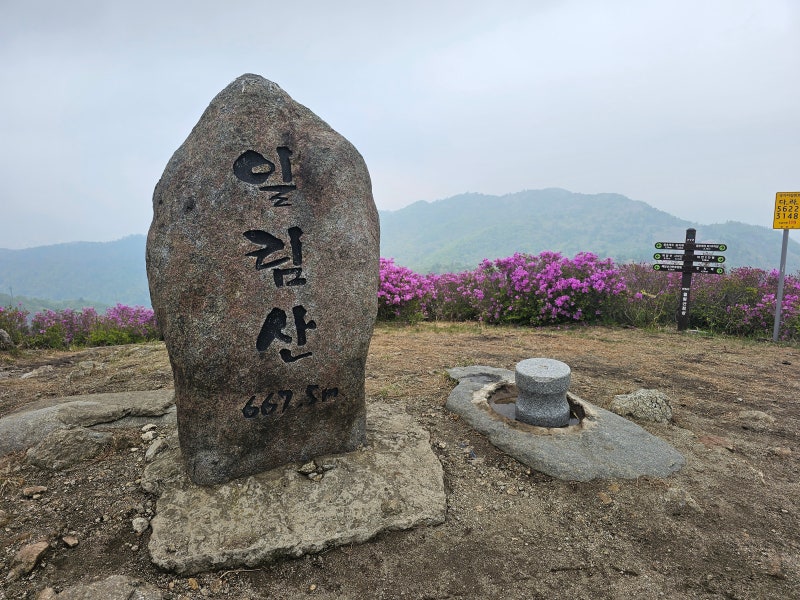 보성 일림산 철쭉 등산·산행 코스 철쭉제 문화행사·개화 현황 네이버 블로그